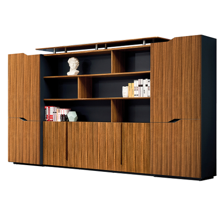 Modern Executive Office Bookshelf with Doors